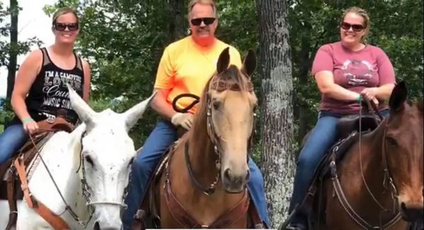 The Amber Prince (Bo) | Thehorsebay.com