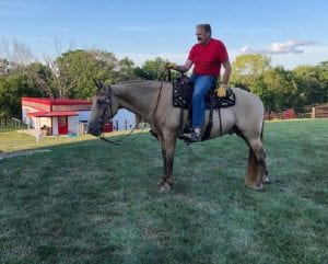 The Amber Prince (Bo) | Thehorsebay.com