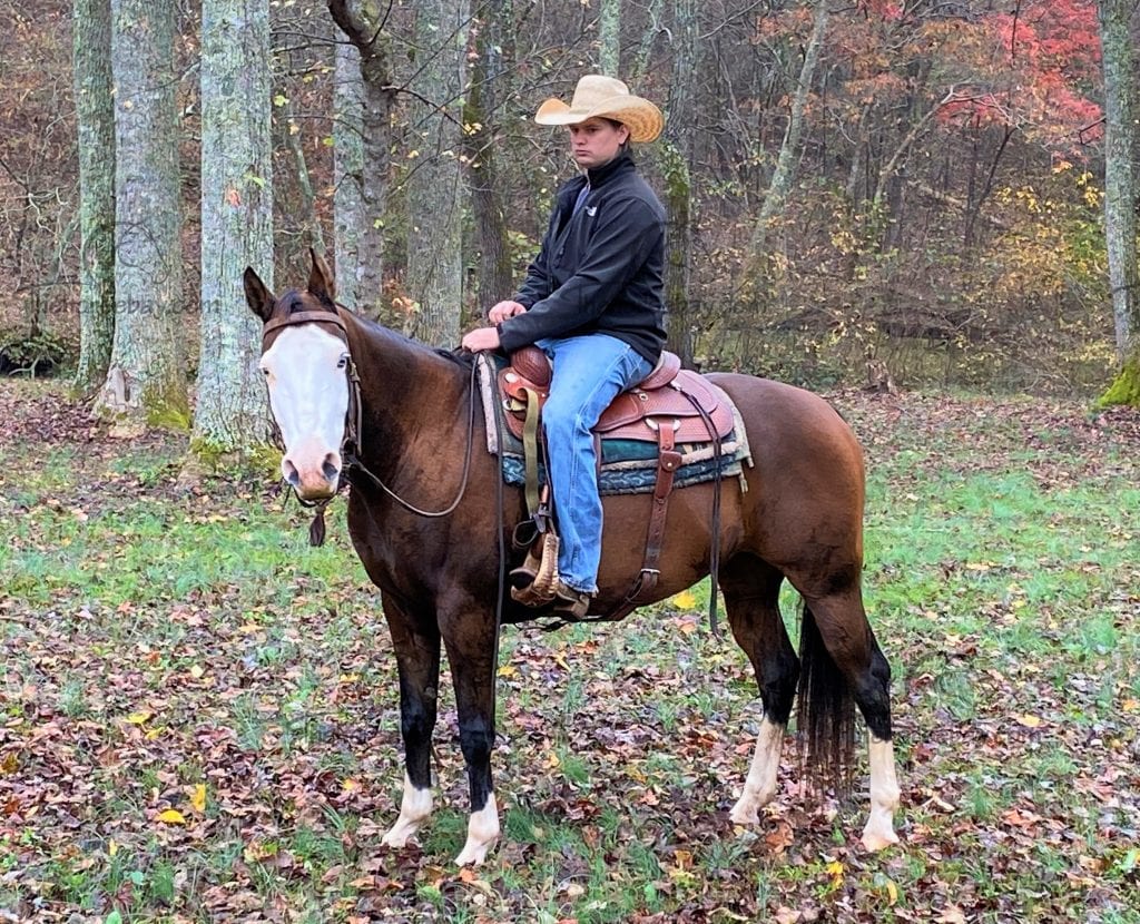 Colonel One Gun (Cowboy) | Thehorsebay.com