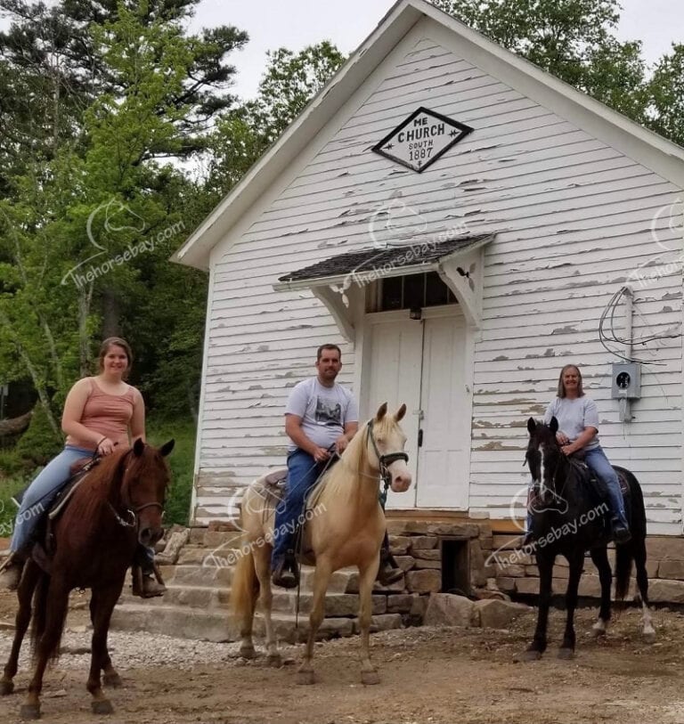 Rex's Pride & Joy (Buffy) | Thehorsebay.com