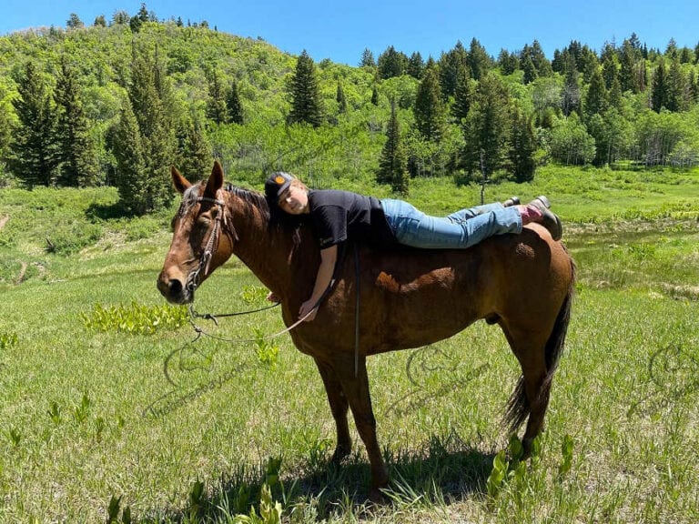 Stormy Rainmaker | Thehorsebay.com
