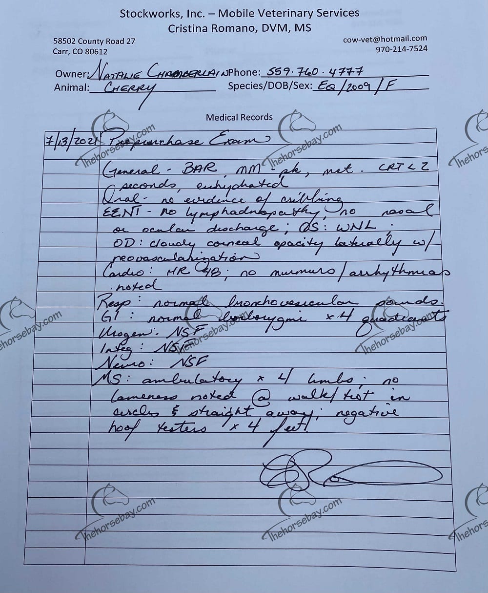 Cheyenne Jurny Moonlark (Cherry) | Thehorsebay.com