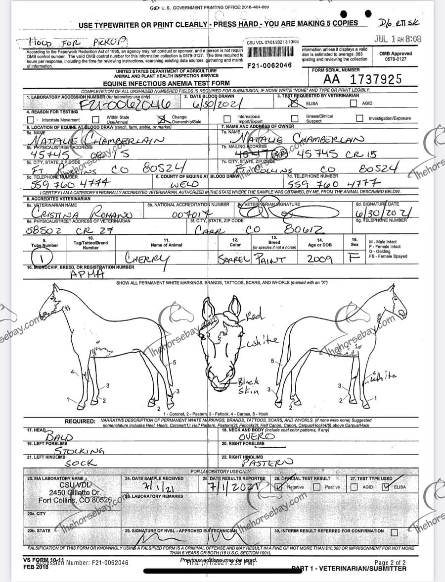 Cheyenne Jurny Moonlark (Cherry) | Thehorsebay.com