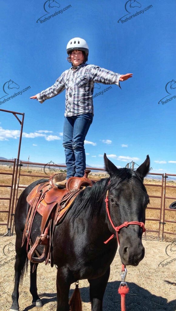 Black Remembrances (ACE) | Thehorsebay.com