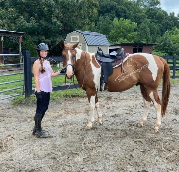 Stormy (Rowdy) | Thehorsebay.com