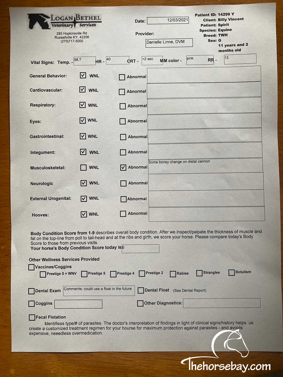 All Poison (Spirit) | Thehorsebay.com