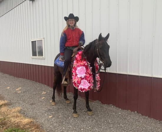 Adam Jokisch Archives - Thehorsebay.com