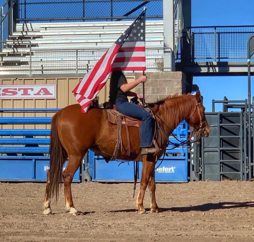 Fizz | Thehorsebay.com