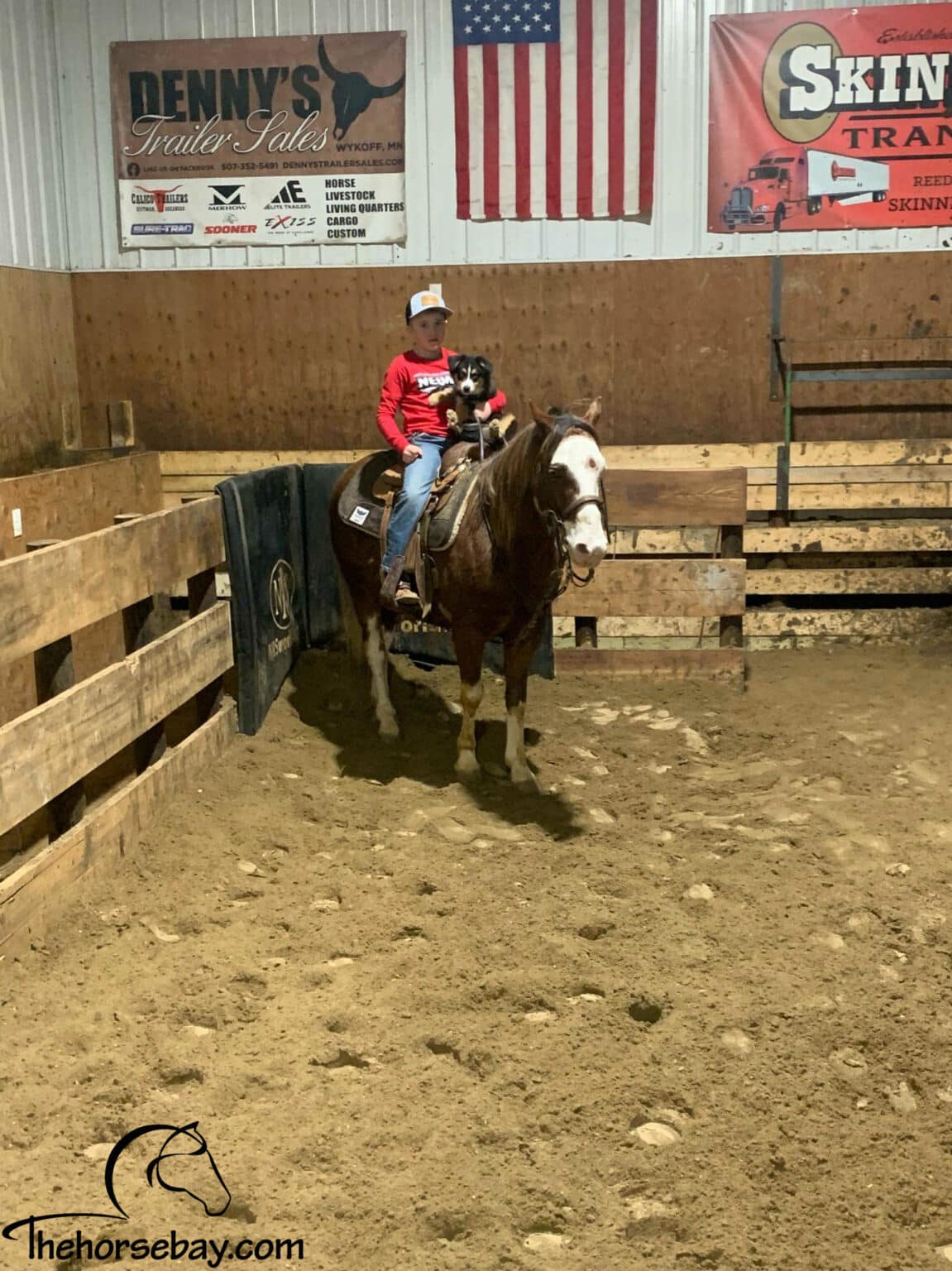 Bex | Thehorsebay.com