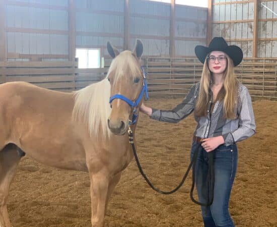 Adam Jokisch Archives - Thehorsebay.com