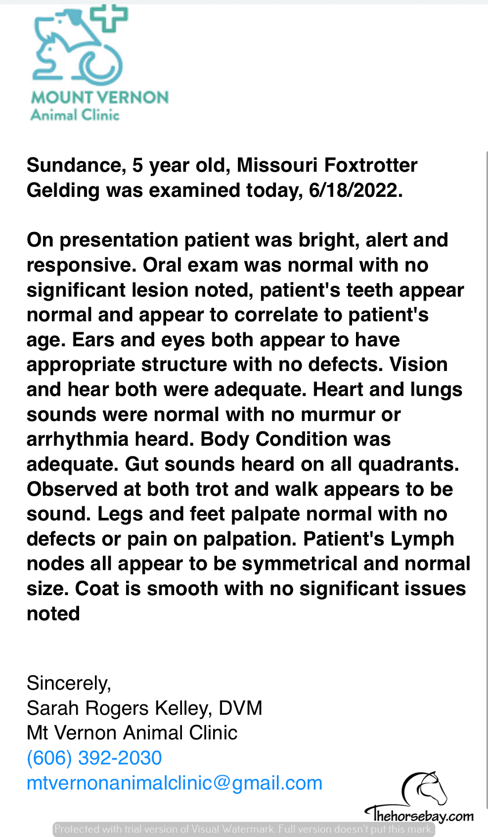 Sundance | Thehorsebay.com