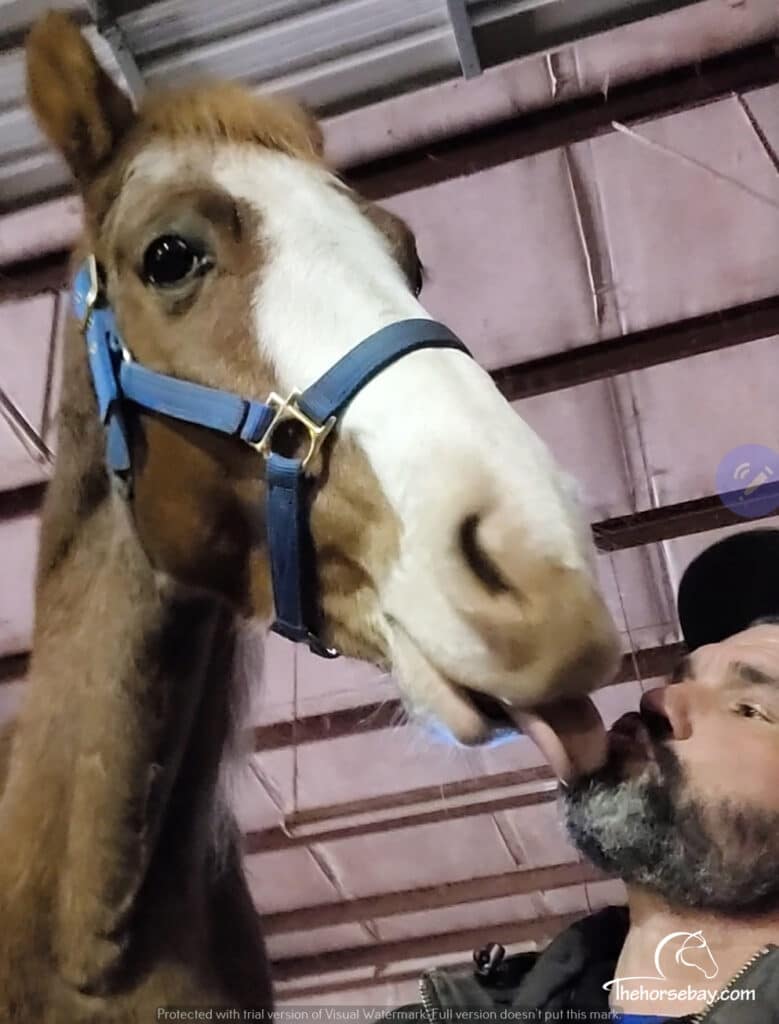 Jimmy Dean | Thehorsebay.com