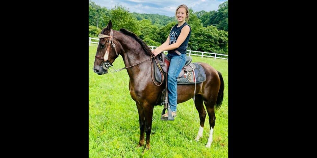 Miss Lilly | Thehorsebay.com