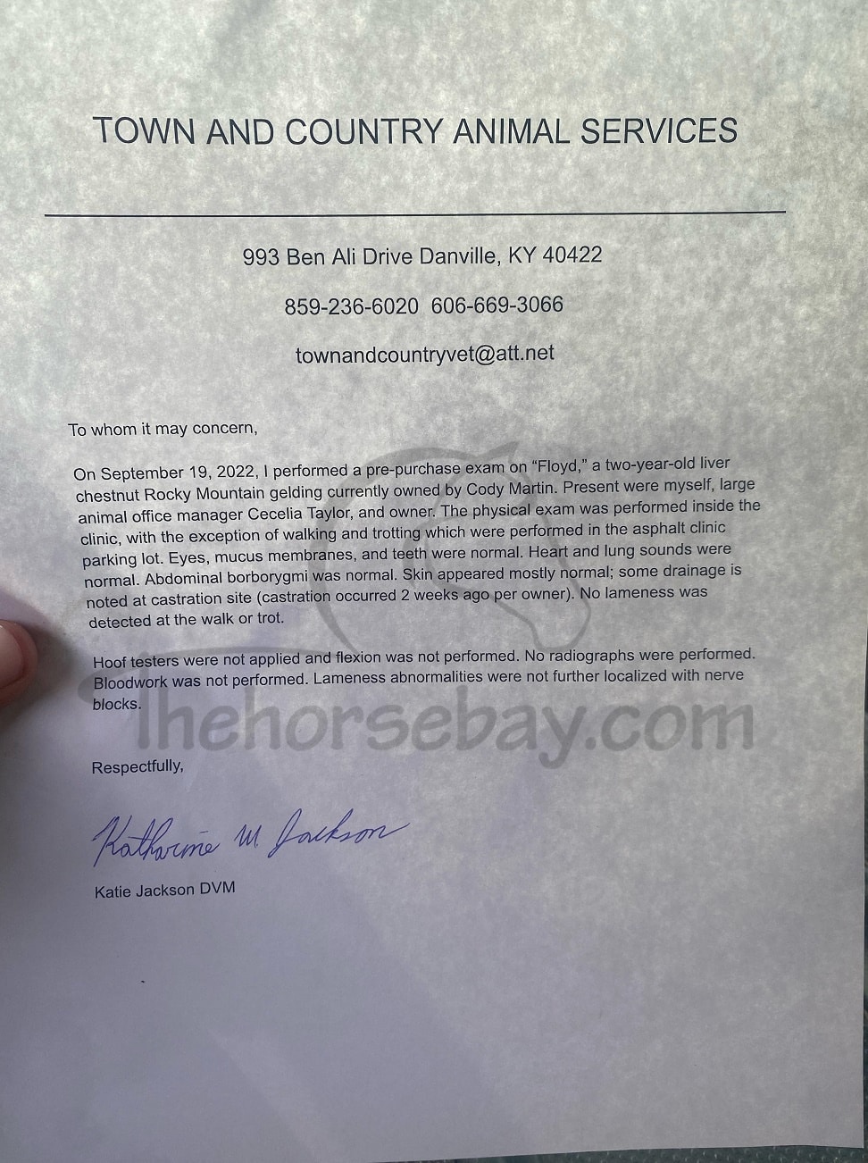 Floyd | Thehorsebay.com