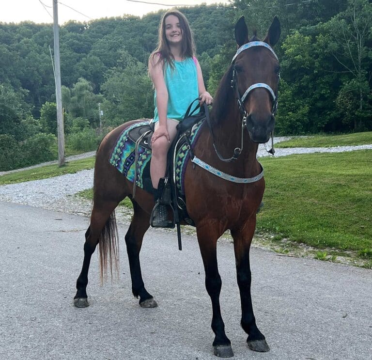 Bosco | Thehorsebay.com