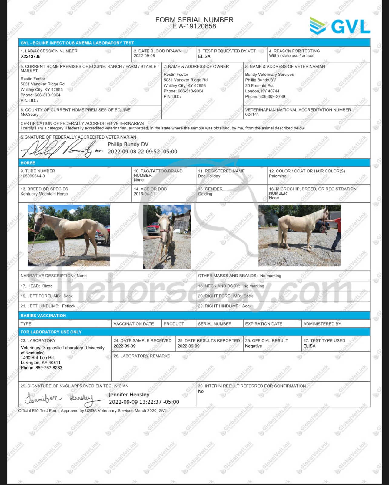 Doc Holiday | Thehorsebay.com