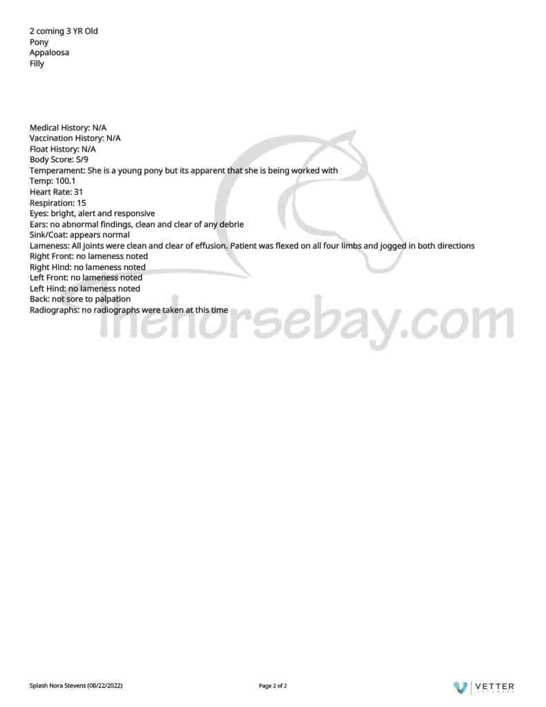 Splash | Thehorsebay.com