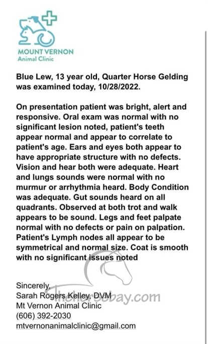 Blue Lew | Thehorsebay.com