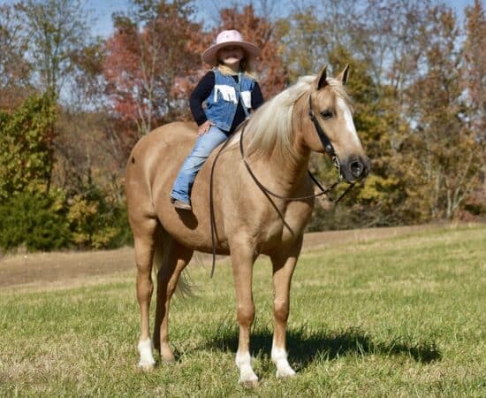 Jason Leger Archives - Thehorsebay.com