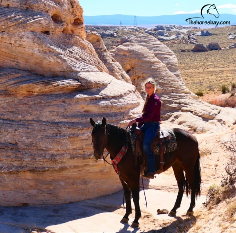 Drover | Thehorsebay.com