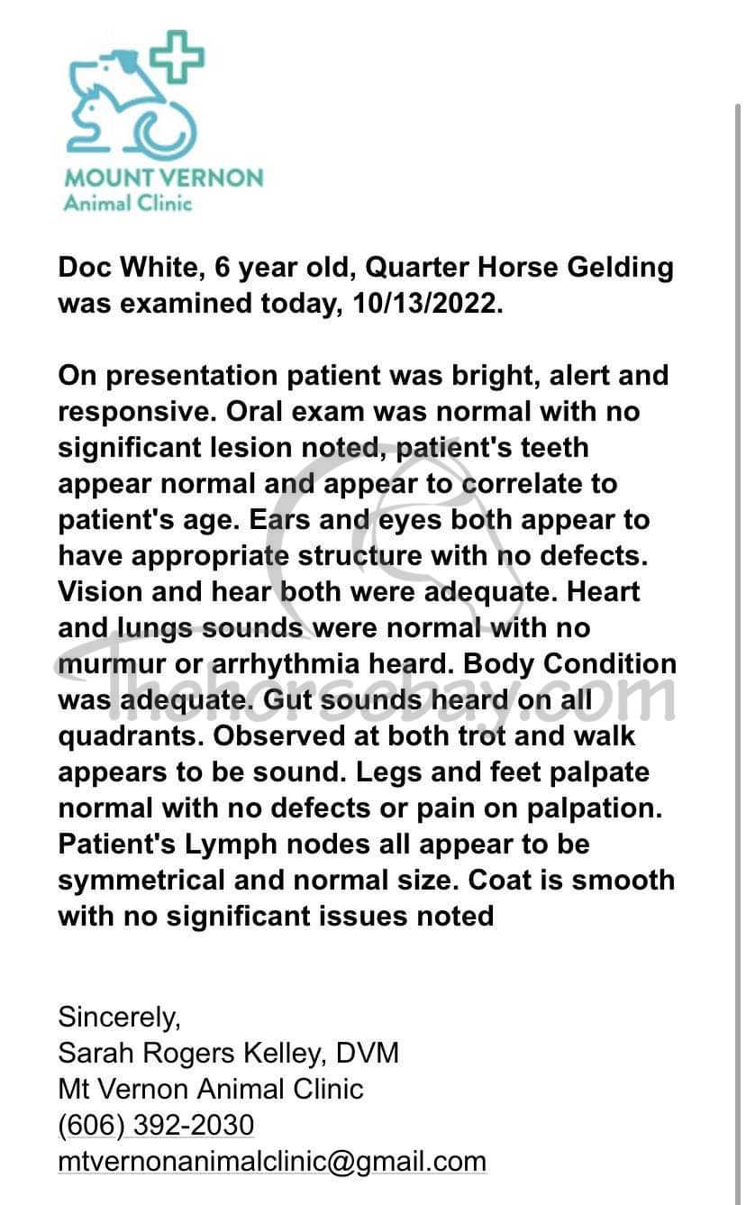 Ol Doc White (Doc) | Thehorsebay.com