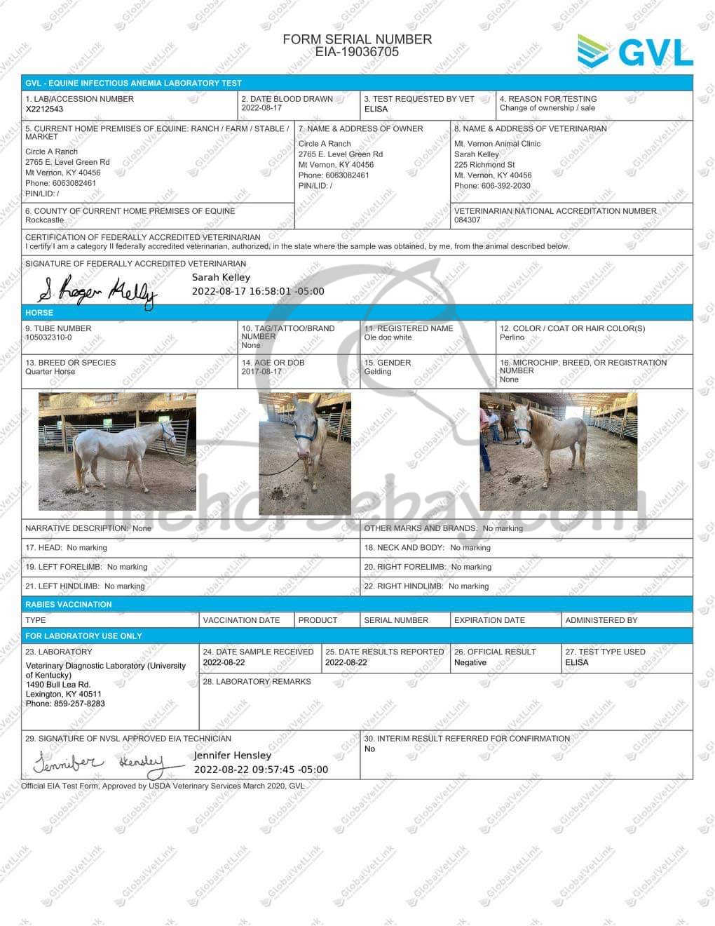 Ol Doc White (Doc) | Thehorsebay.com