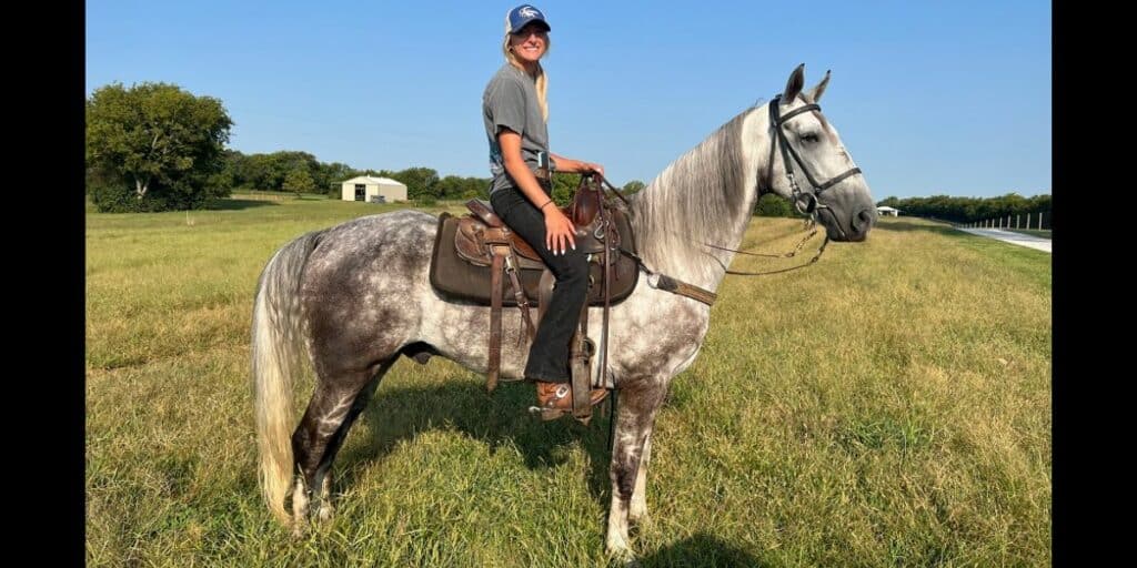 Dixie Brakeman | Thehorsebay.com