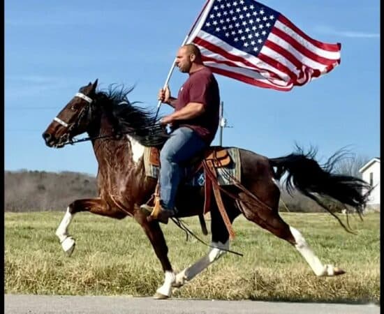 Jason Leger Archives - Thehorsebay.com