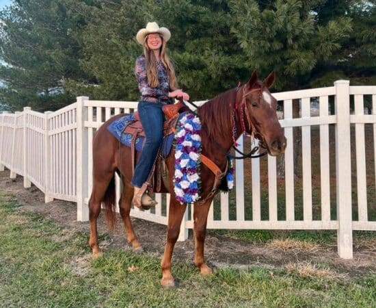 Adam Jokisch Archives - Thehorsebay.com