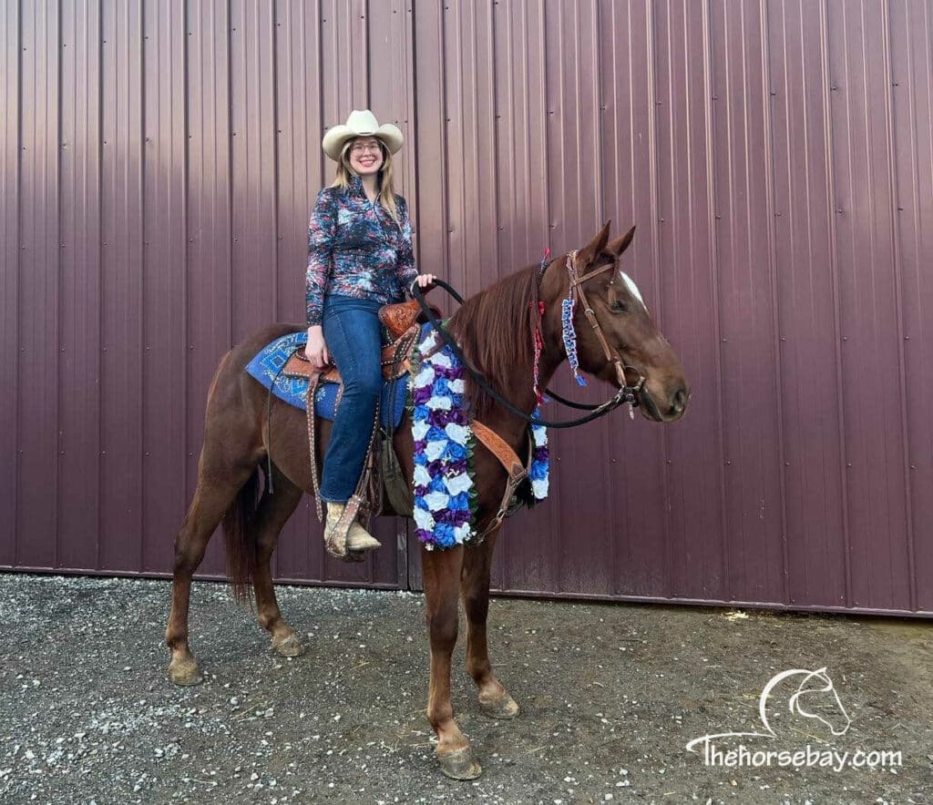 Undercover | Thehorsebay.com