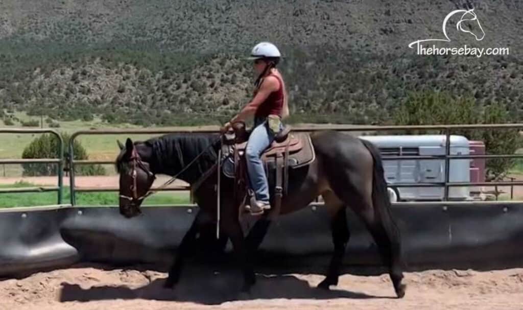 Eight Mile's Tranquil Bay | Thehorsebay.com