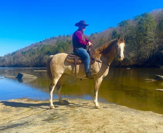 CJ Foster Archives - Thehorsebay.com