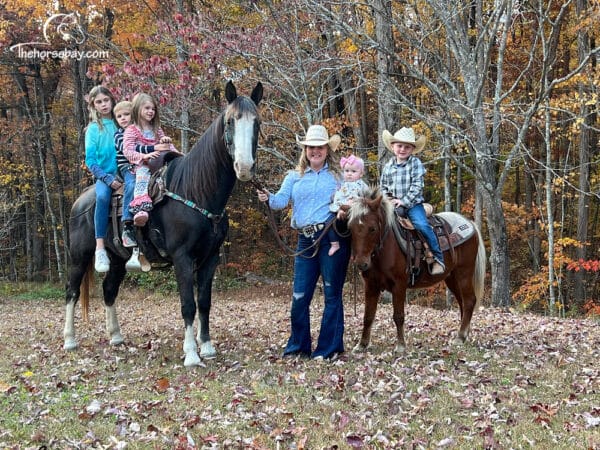 Gypsy Jay | Thehorsebay.com