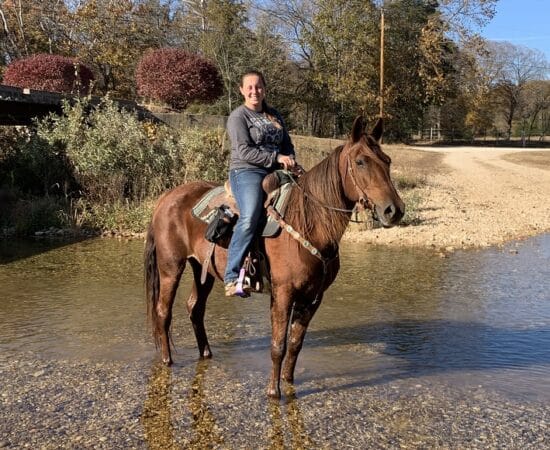 Adam Jokisch Archives - Thehorsebay.com