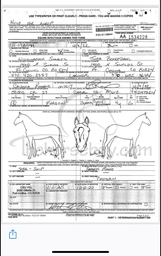 Farson | Thehorsebay.com