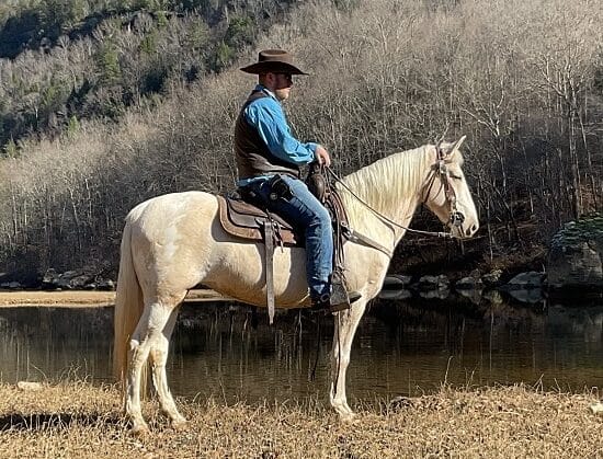 CJ Foster Archives - Thehorsebay.com