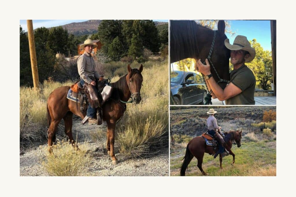Wachi | Thehorsebay.com
