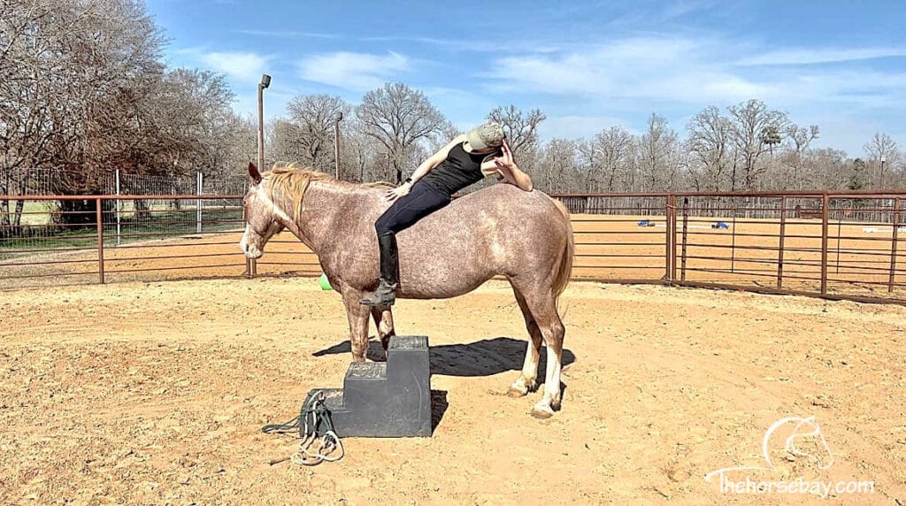 Prada | Thehorsebay.com