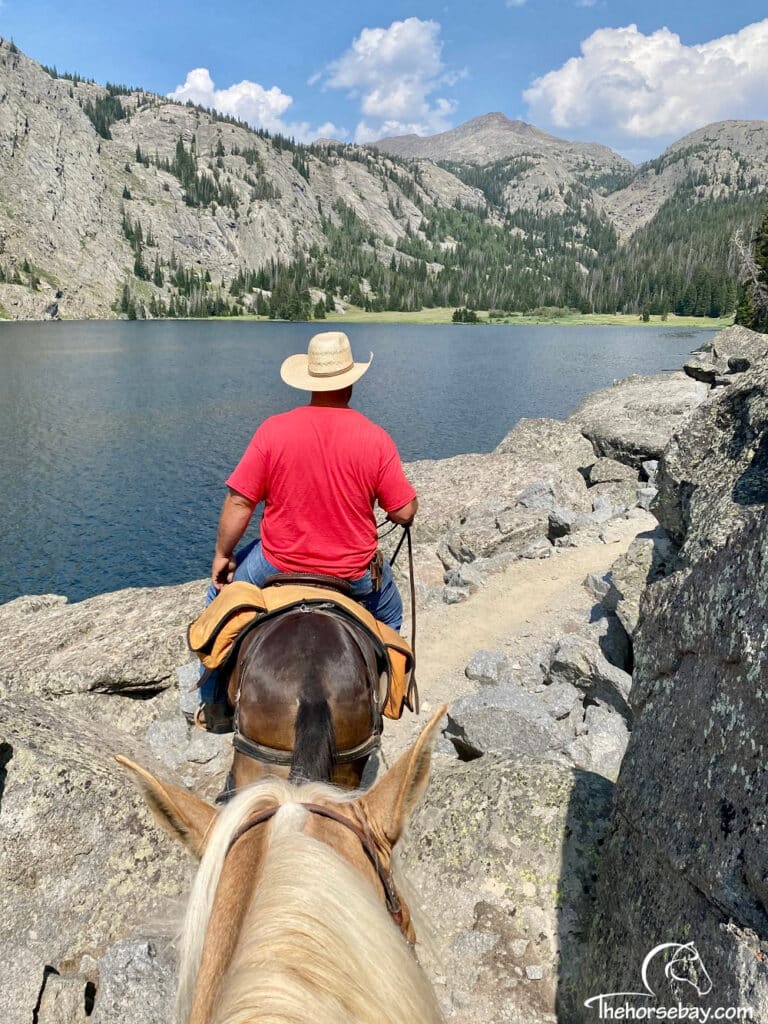 Reese Cup | Thehorsebay.com