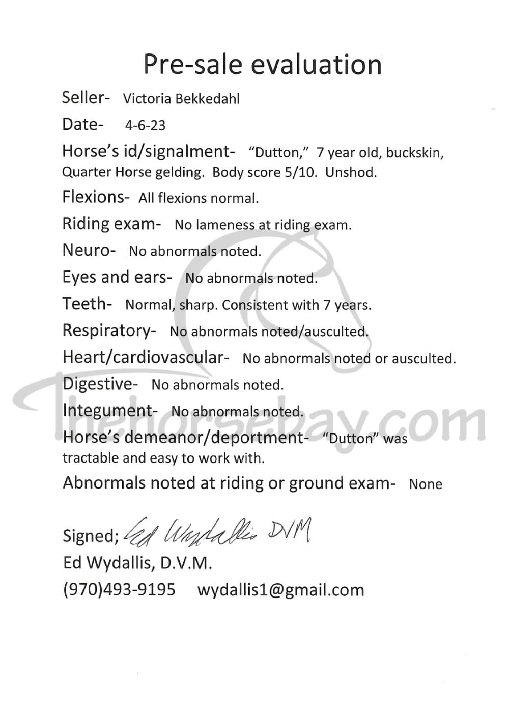 Dutton | Thehorsebay.com