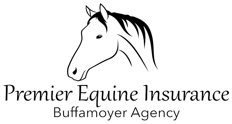 Shipping/Equine Insurance | Thehorsebay.com