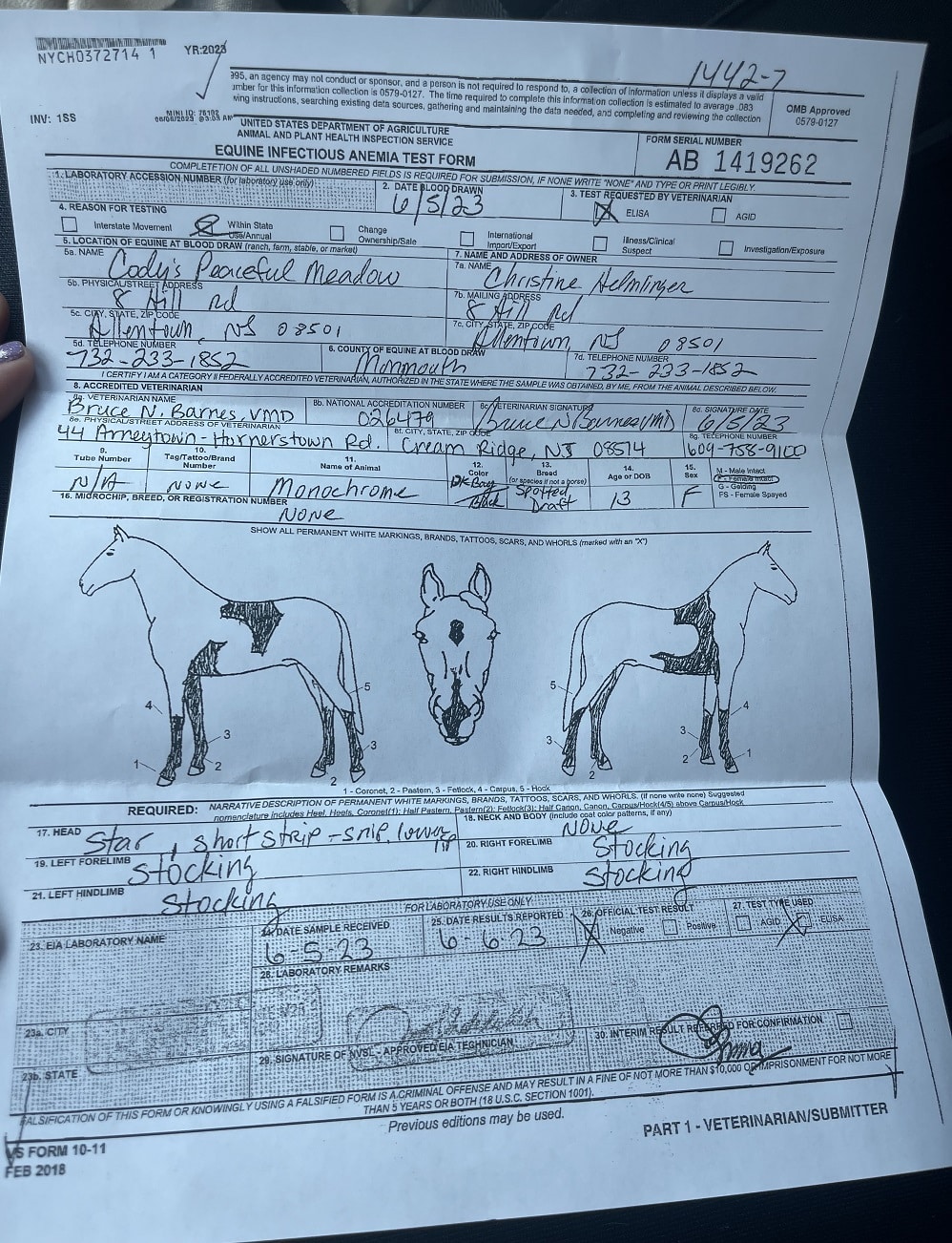 Monochrome | Thehorsebay.com