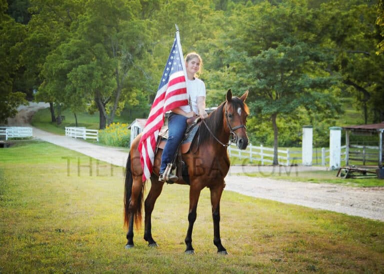 Struttin’ Her Stuff "Shea" | Thehorsebay.com