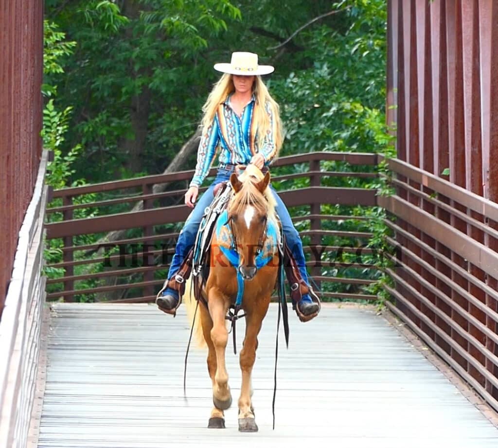 Down n Dixie | Thehorsebay.com