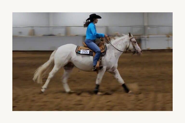 Nothin But Net "Unega" | Thehorsebay.com