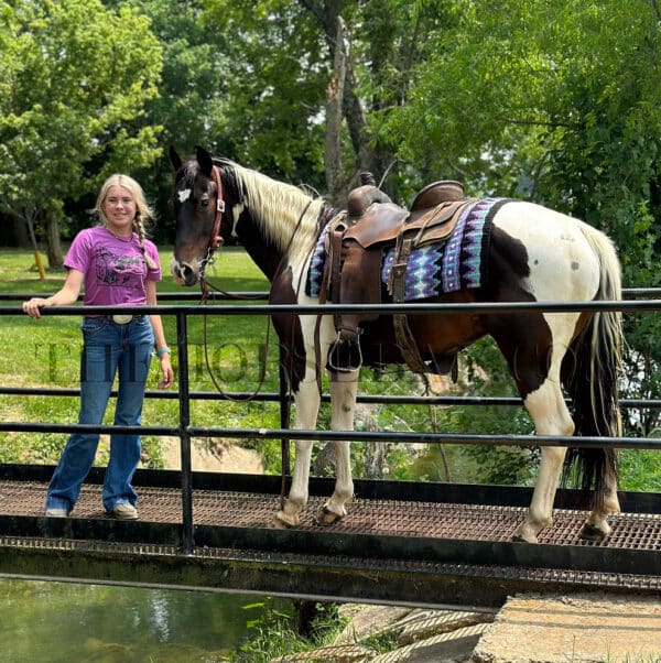 Jinx | Thehorsebay.com