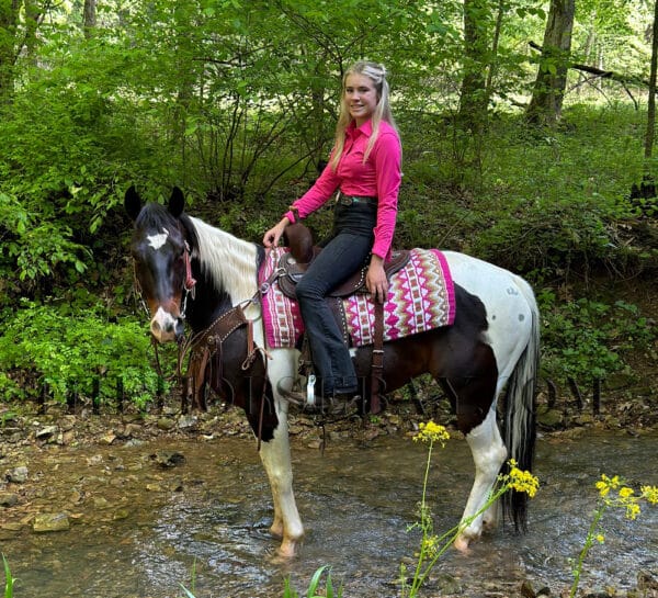 Jinx | Thehorsebay.com