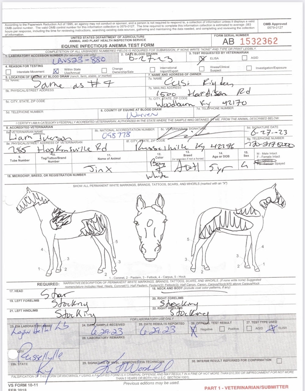 Jinx | Thehorsebay.com