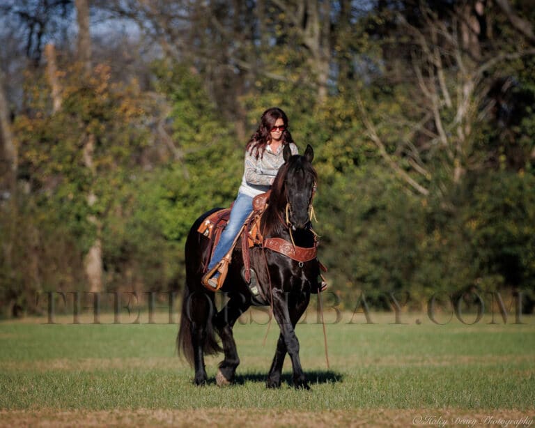 Fritz P’s Jolene “Jolene” | Thehorsebay.com