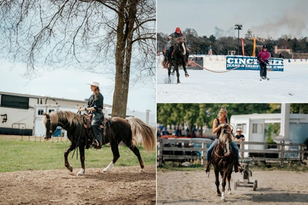 Horses Sold Archives - Page 5 of 97 | Thehorsebay.com